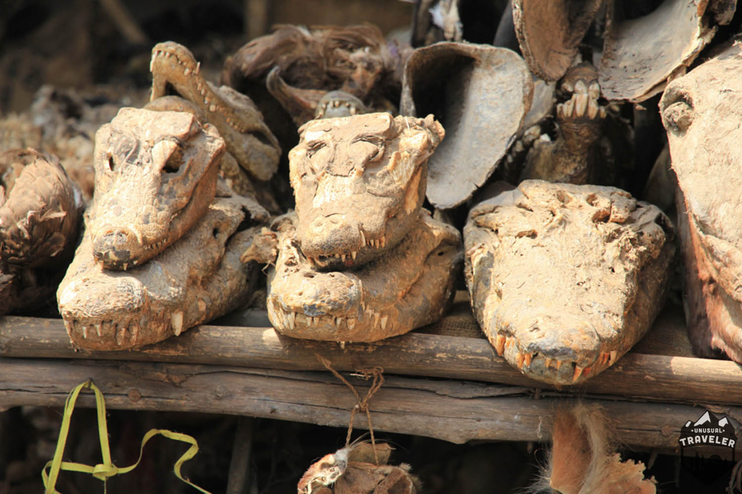 Voodoo market of Benin - Unusual Traveler
