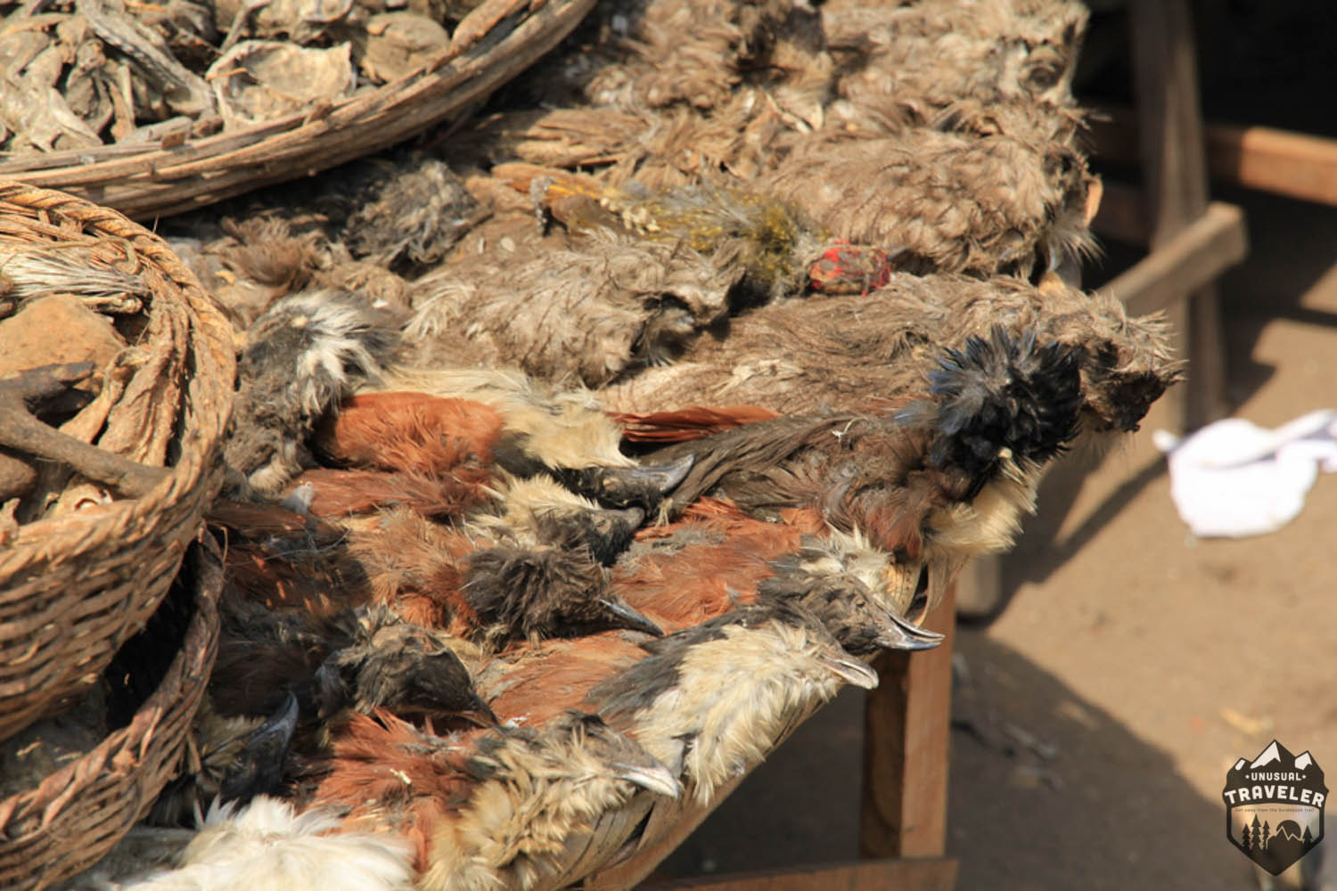 Voodoo market of Benin - Unusual Traveler