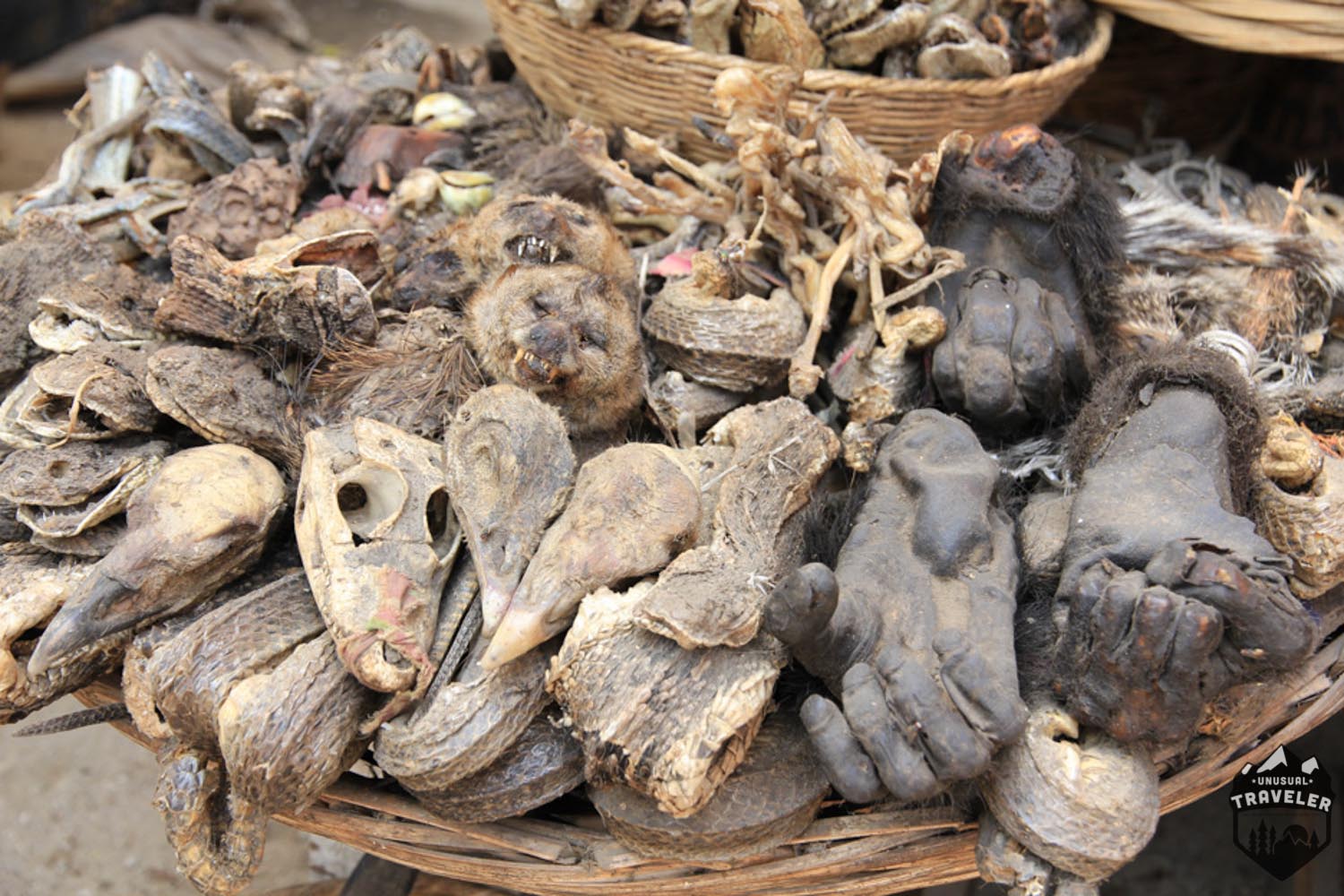 Voodoo market of Benin - Unusual Traveler