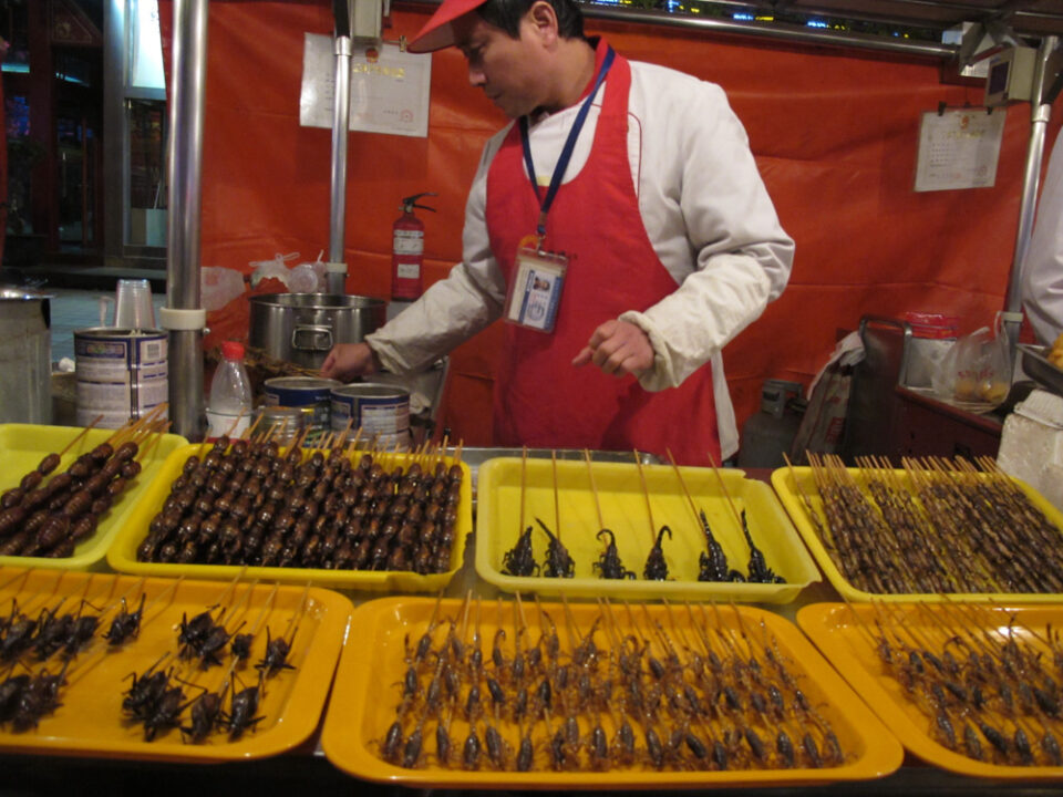 10 Strange Food to try while traveling in China- Unusual Traveler