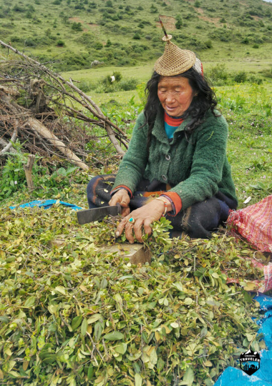 How To visit Laya, home to the Layaps and Bhutan's northern most ...