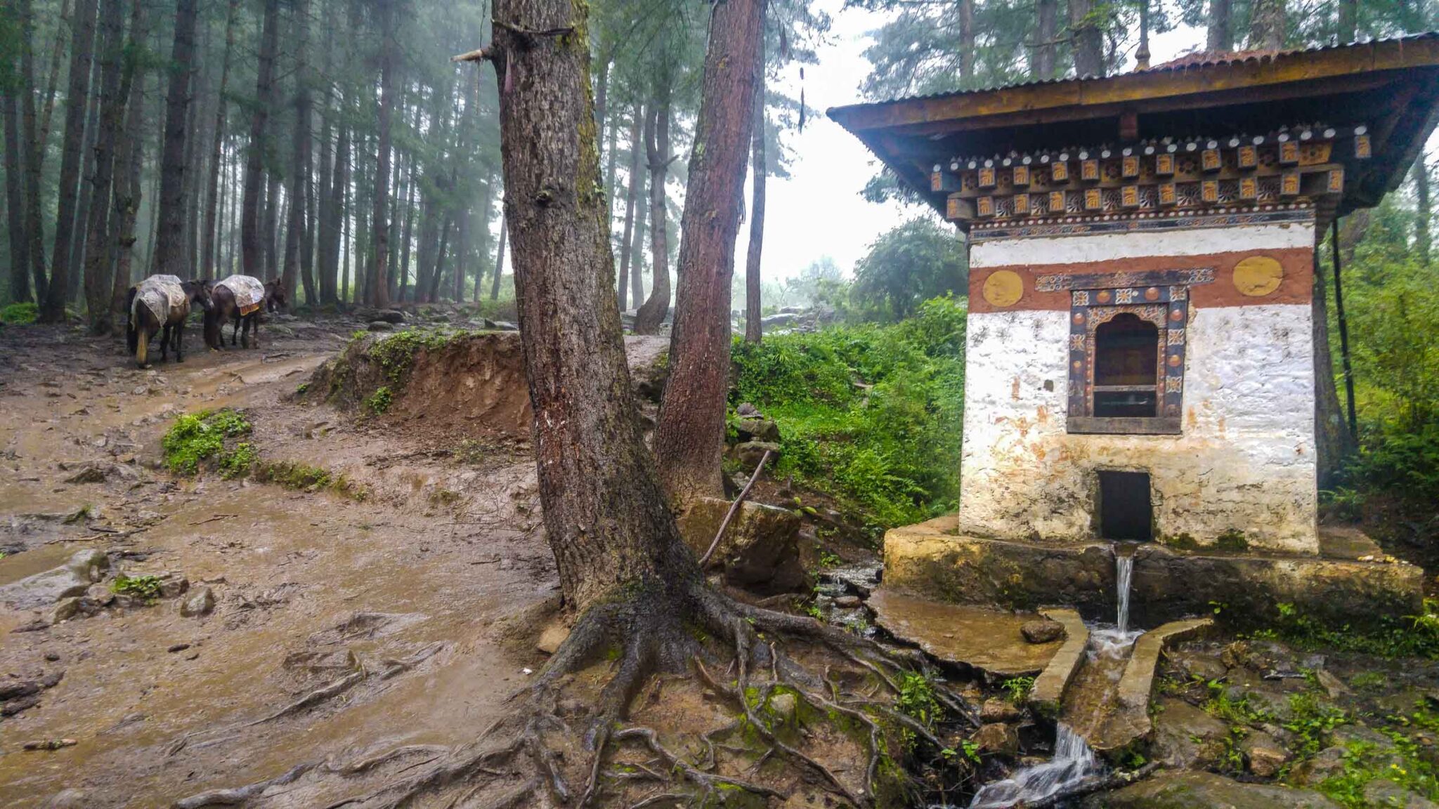 How To Visit Bhutan’s Magnificent Tiger Nest Monastery. - Unusual Traveler