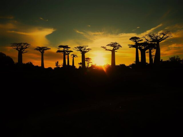 Madagascar Travel Guide (Everything You Need To Know)