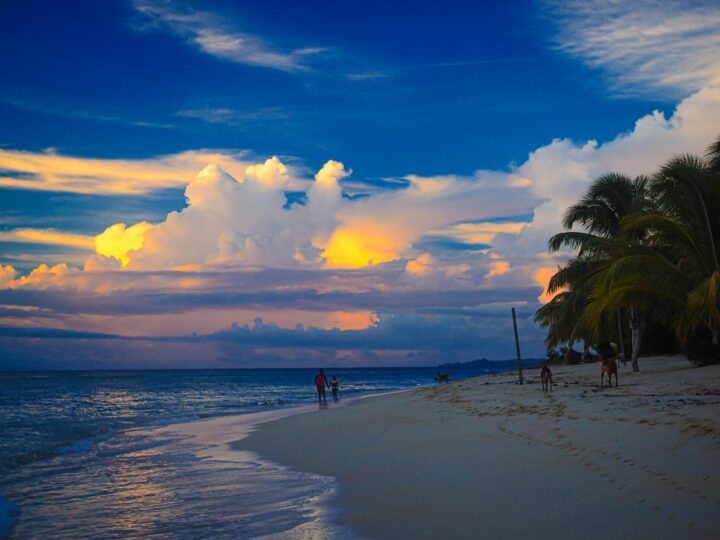 Madagascar Travel Guide (Everything You Need To Know)