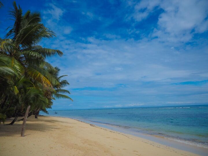 Madagascar Travel Guide (Everything You Need To Know)