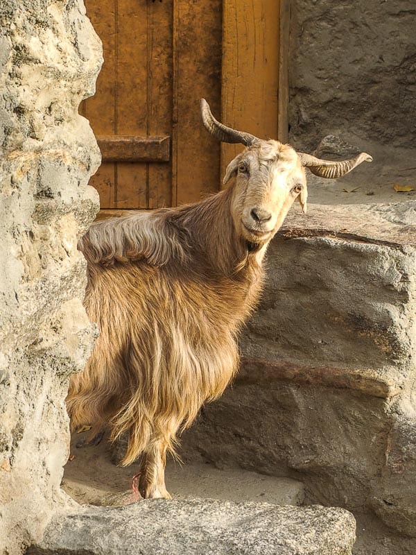 Hunza Valley Travel Guide (Everything You Need To Know)