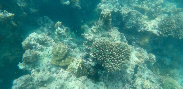 Travel Guide To: Farasan Islands A Unexpected Beach Destination In ...