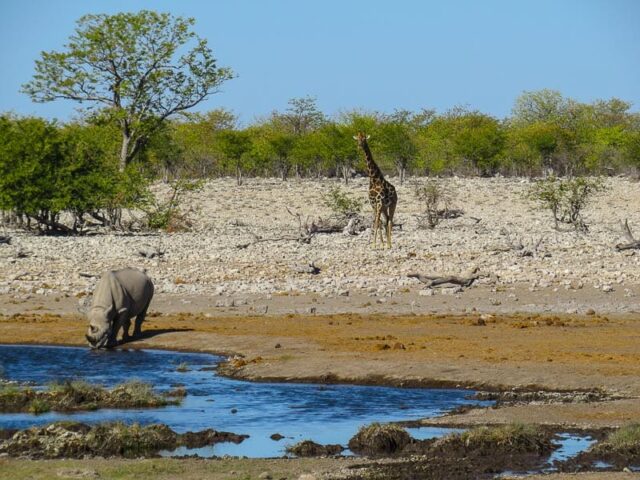 5 Reasons That Namibia Should Be On Your Bucket List. - Unusual Traveler