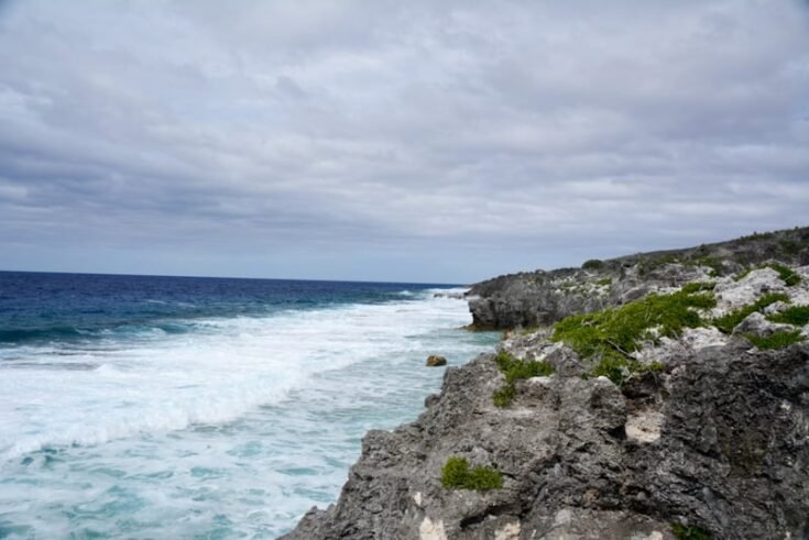 Everything You Need to Know Before Visiting Niue, The Rock of Polynesia ...