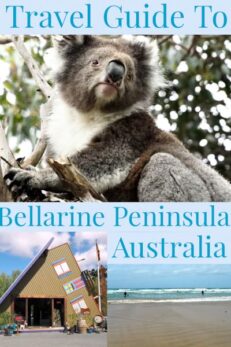The Bellarine Peninsula A Great Unkown RoadTrip Destination in ...