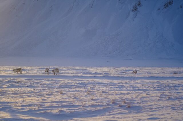 Pyramiden an abandoned Russian mining town on Svalbard. - Unusual Traveler