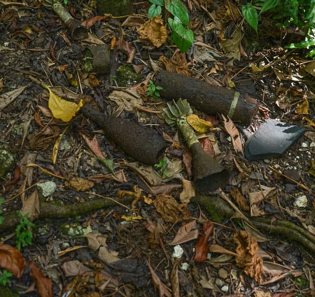 Peleliu Island | WW2 History & Travel Guide - Unusual Traveler