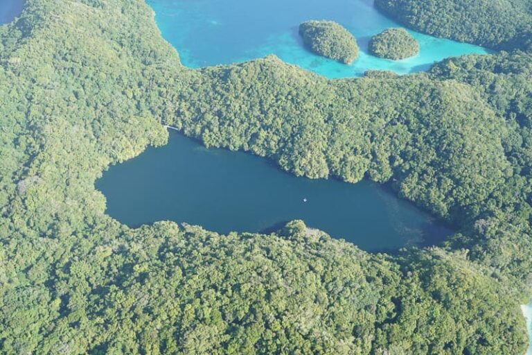 The Ultimate Guide To Swimming in JellyFish Lake in Palau - Unusual ...