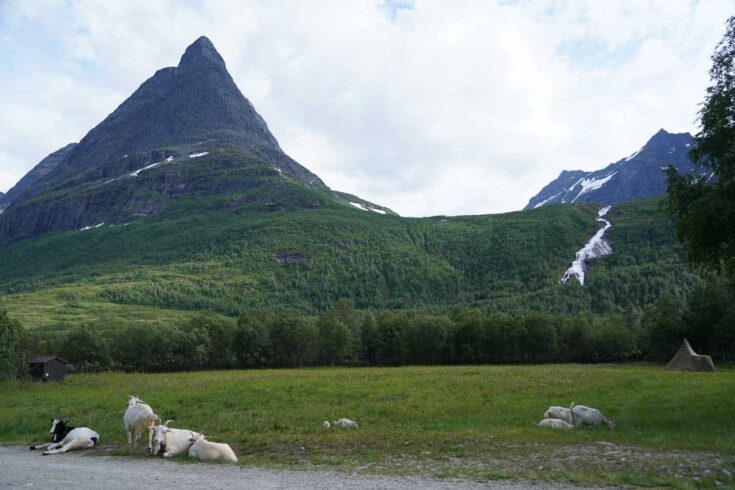 Innerdalen The Most Beautiful Valley in Norway - Unusual Traveler