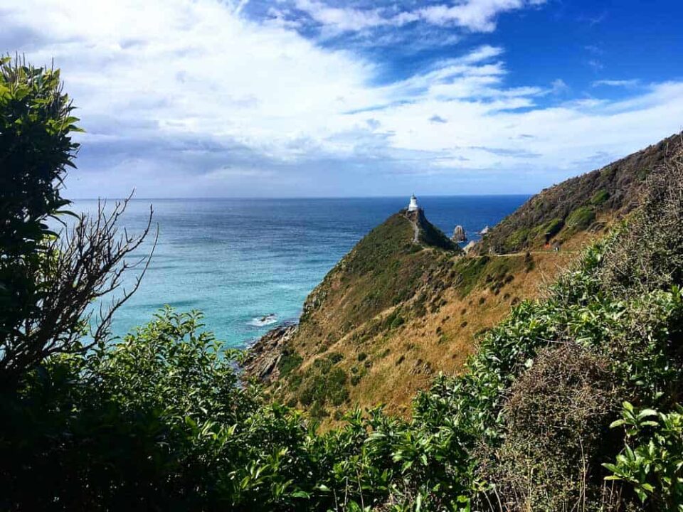 The Best Regions for Hiking in the South Island, New Zealand - Unusual ...