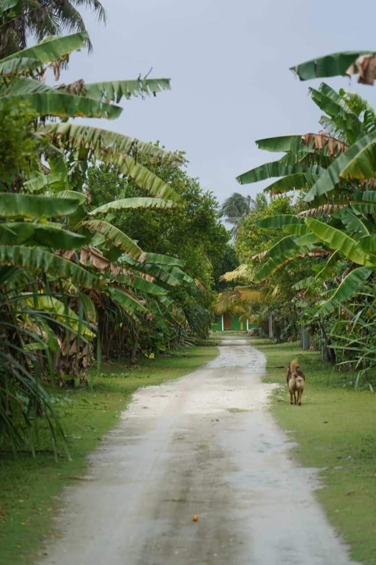 Kayangel Atoll A Pradise With A Population Of Only 54 In Palau ...