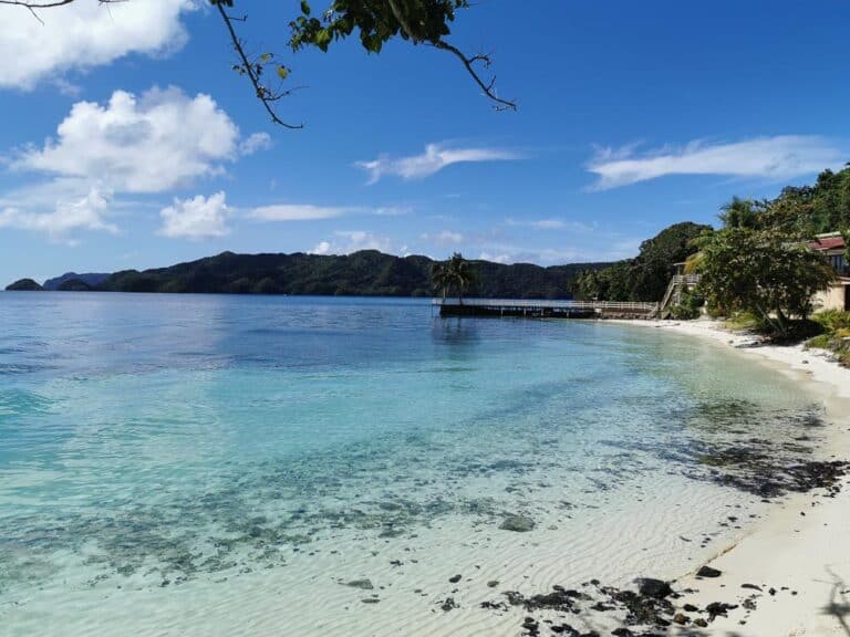 Top 10 Things To Do In Koror The Largest City In Palau - Unusual Traveler