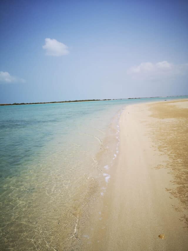 Top 16 Places To Visit In Saudi Arabia That You Didn't Knew Existed ...