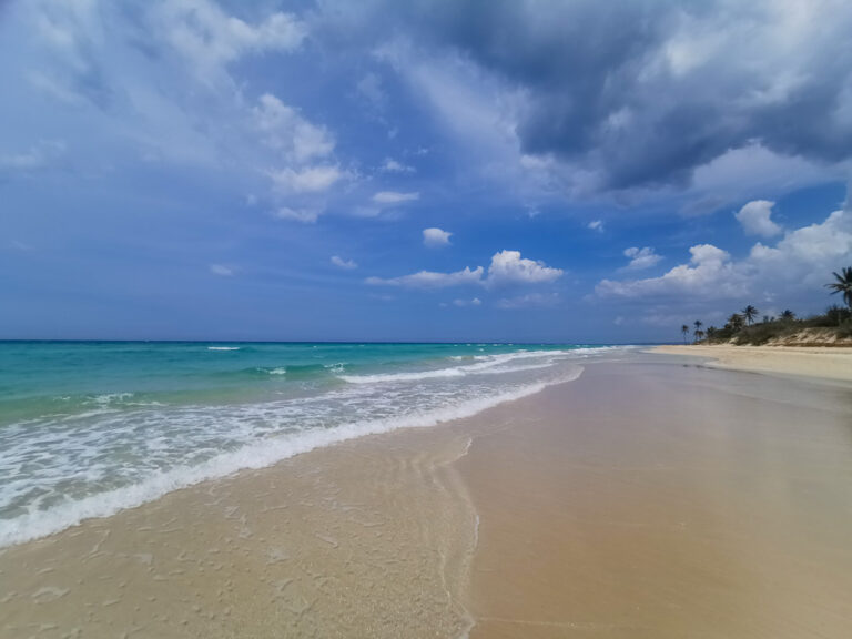 12 Amazing Things To Do in Havana