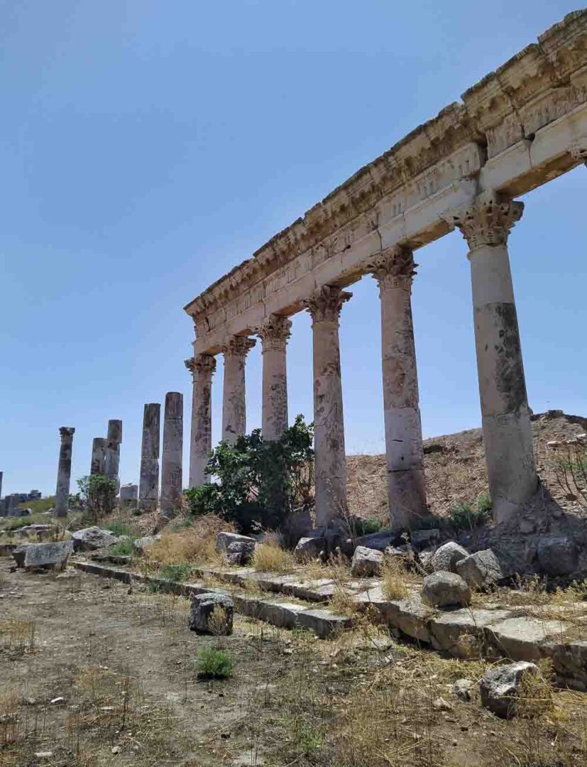 Apamea Ancient Ruins updated July 2021, first visit since before the ...