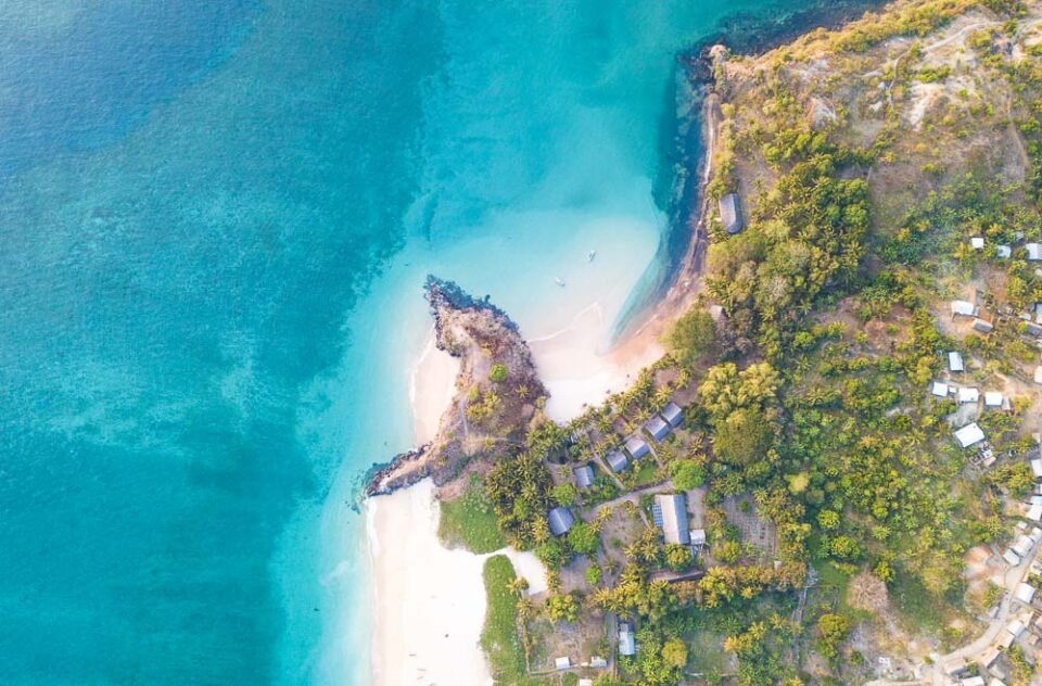 Moheli Island, Swimming With Humpback Whales In East Africa. - Unusual ...