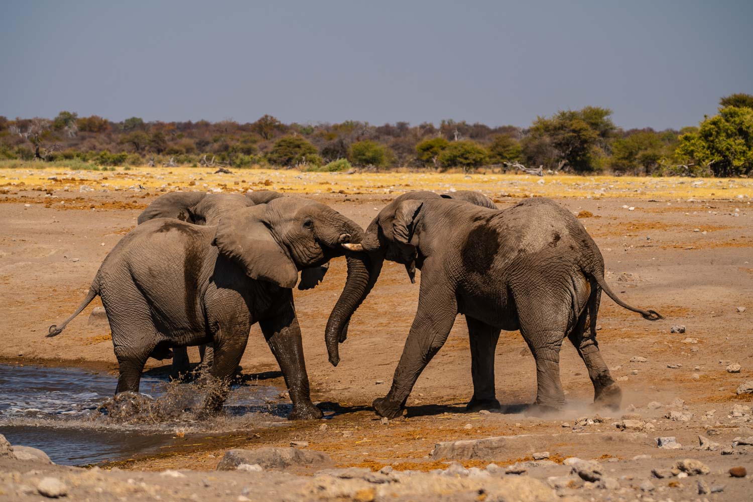 Namibia, top 20 places you should visit - Unusual Traveler